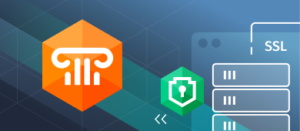 SSL Connection to MySQL From Delphi With UniDAC and SecureBridge - Devart Blog