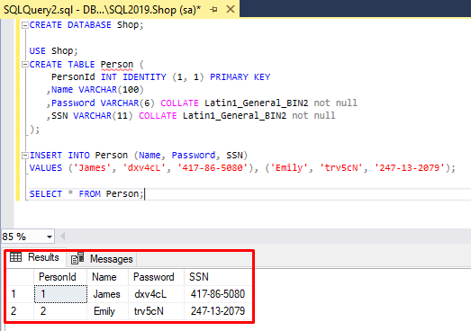 Column Level SQL Server Encryption Example Using SQL Complete Devart Blog