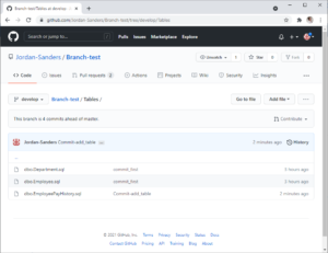Working with Multiple Branches in Source Control - Devart Blog