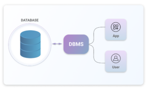 SQL vs NoSQL: What’s the Difference Between Them?