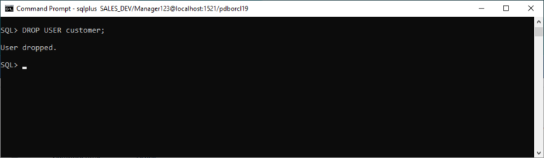 How To Drop Delete User In Oracle [with Examples]