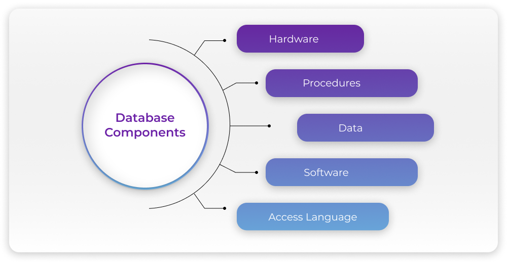 What Is A Database Devart Blog