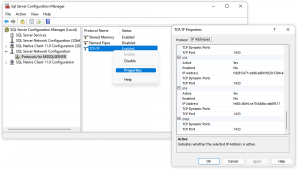 Full Tutorial of Microsoft SQL Server Ports - Devart Blog