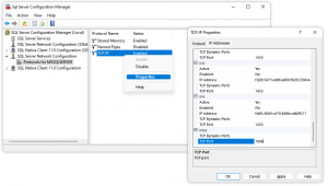 Full Tutorial of Microsoft SQL Server Ports - Devart Blog