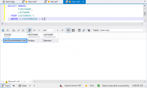 Oracle Data Types with Examples - Complete Guide