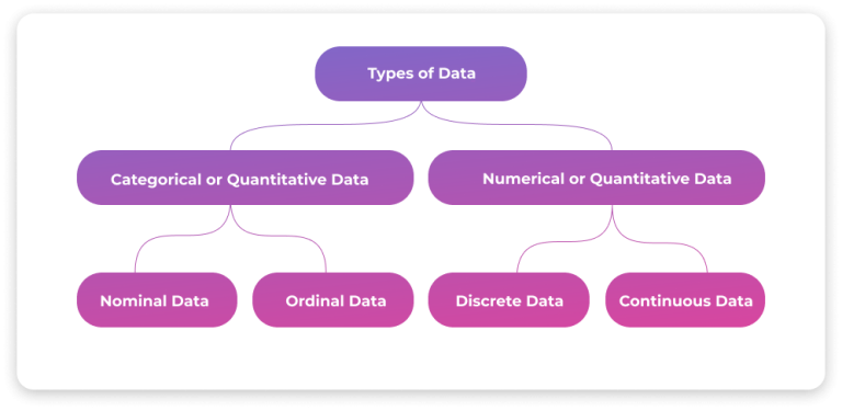 Understanding Data and Metadata - Role and Key Differences