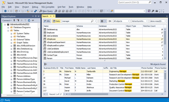 SSMS 20 + dbForge SQL Tools = Your Winning Combination! - Devart Blog