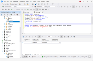 MySQL INT (INTEGER) Data Types with Different Examples