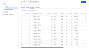 A Guide to Snowflake ODBC Connection Strings and Parameters