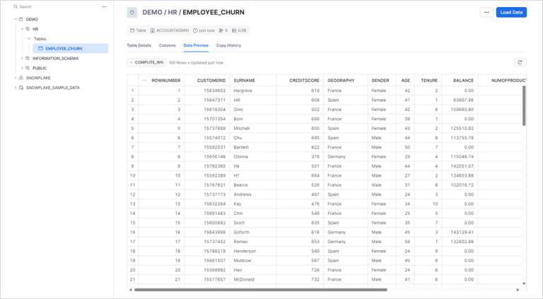 A Guide To Snowflake Odbc Connection Strings And Parameters