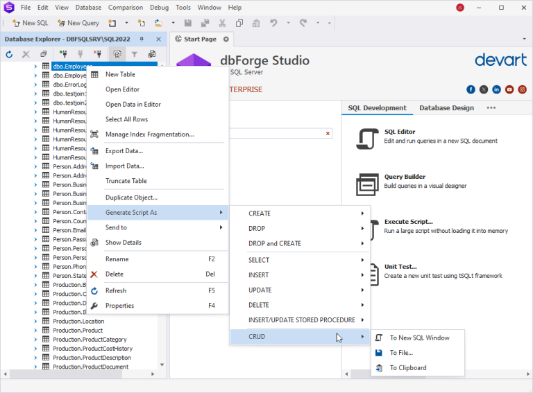 SQL Injection and Ad-Hoc Queries — Risks and Protections