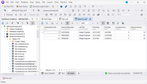 SQL Injection and Ad-Hoc Queries — Risks and Protections